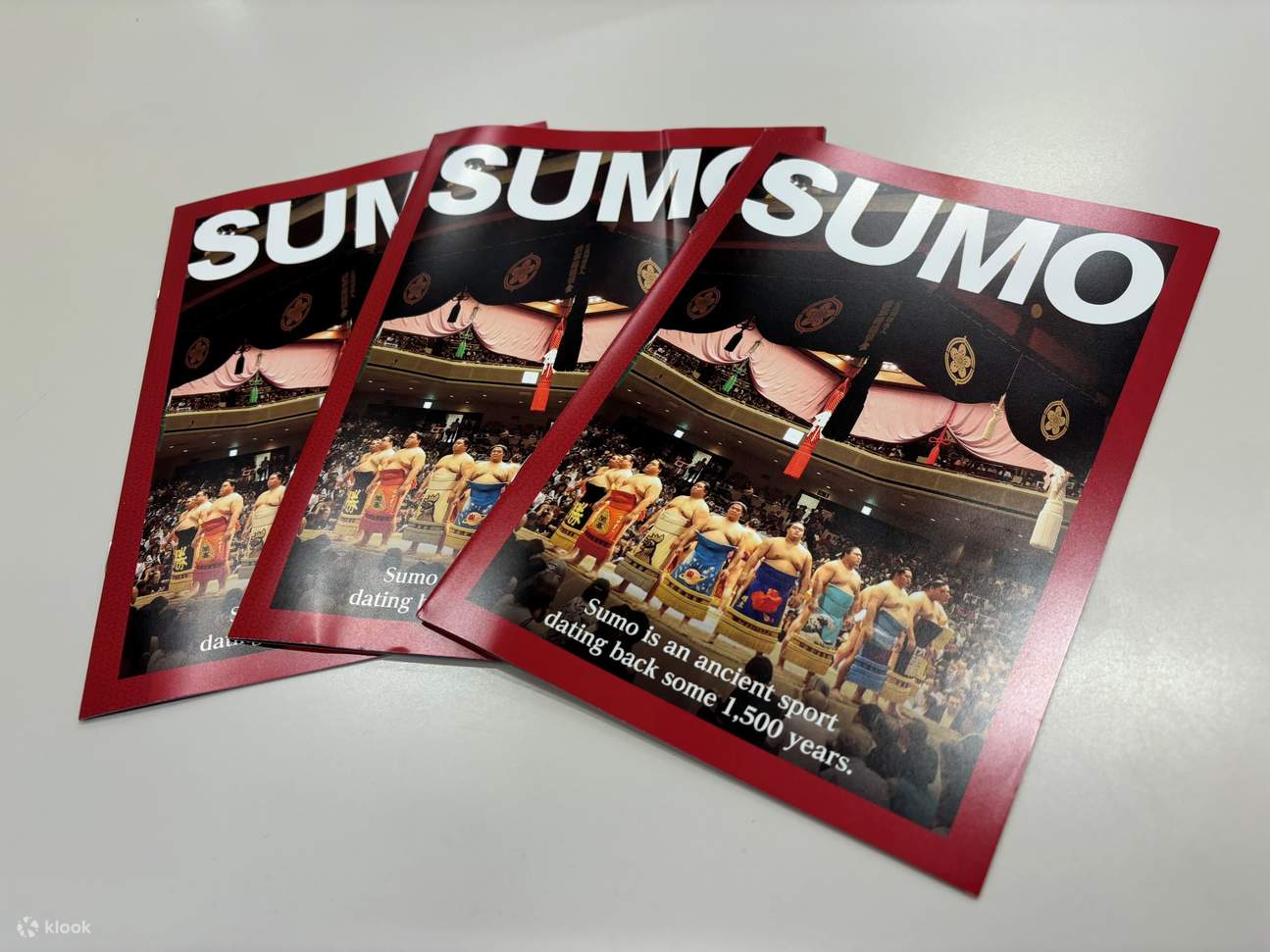 Sumo Wrestling Watching and Misokatsu Yabaton Join In Half Day Walking ...