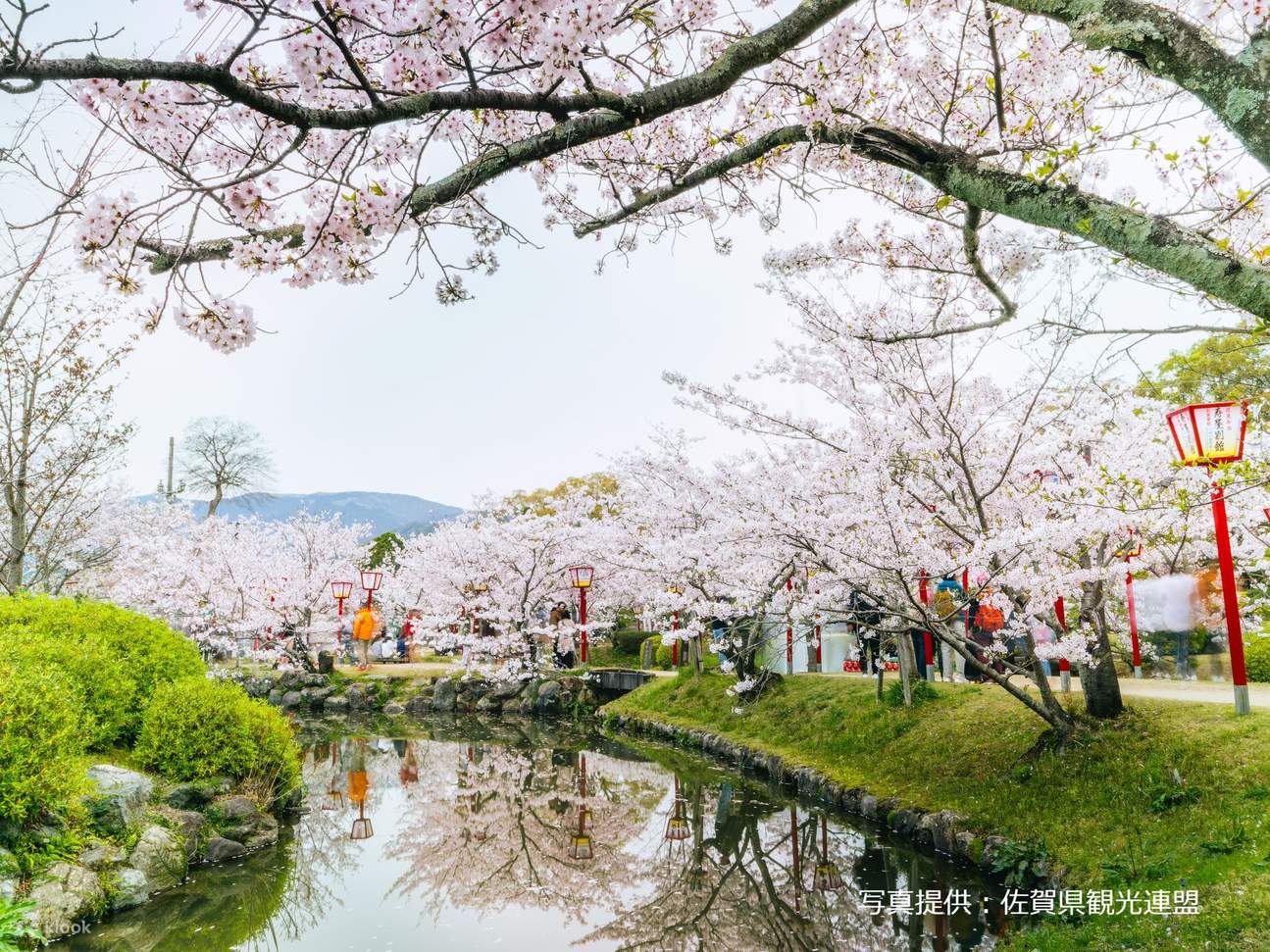 Saga: Yutoku Inari Shrine & Kojo Park & Tosu Outlets 1-day tour ...