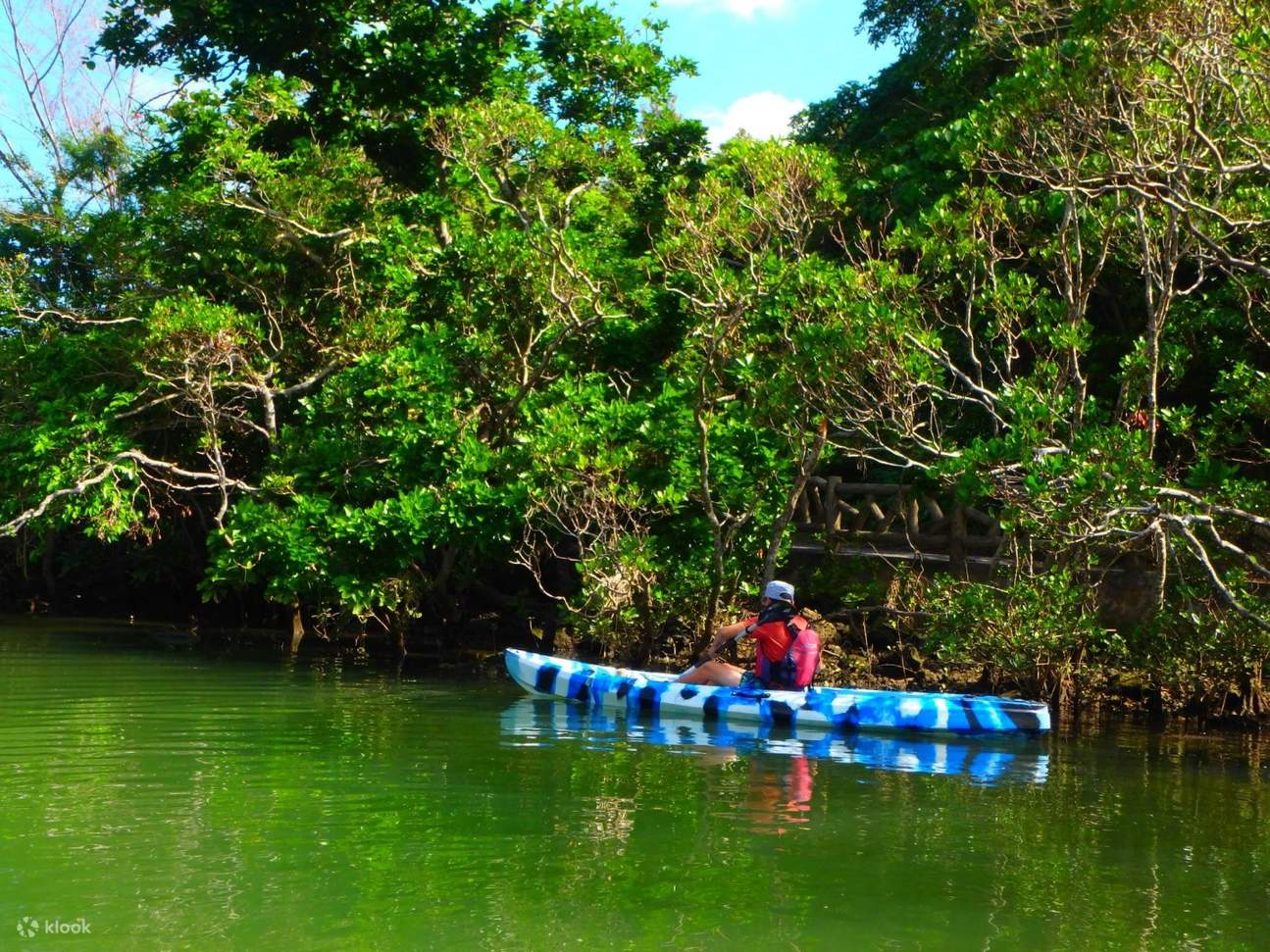 Kayaking Experience along Hija River in Okinawa, Japan - 클룩 Klook 한국