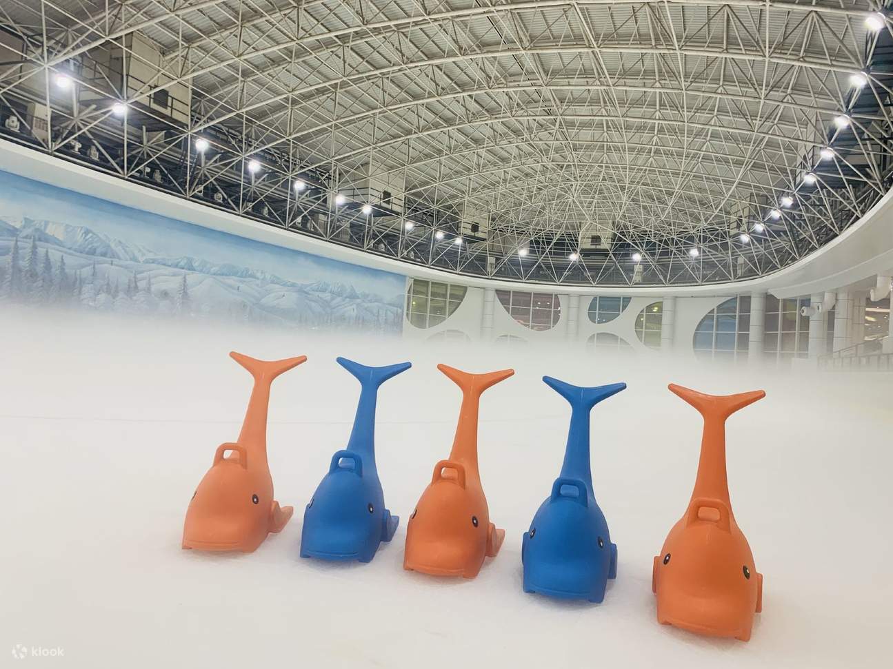 Window to the World-Alpine Ice and Snow World - Klook