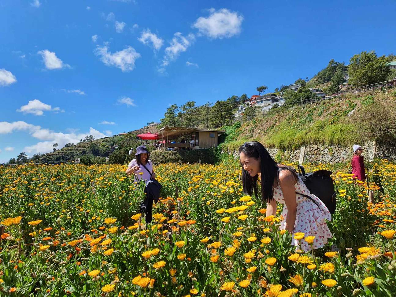 Northern Blossom & Beyond: Atok Gardens Private Day Tour - Klook ...
