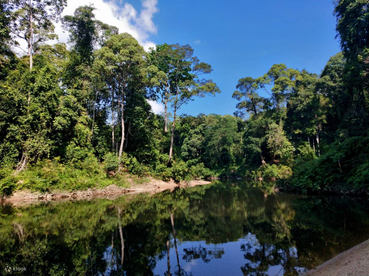 Kayaking and Bird Walking Join-In Tour di Taman Negeri Rompin di Pahang ...