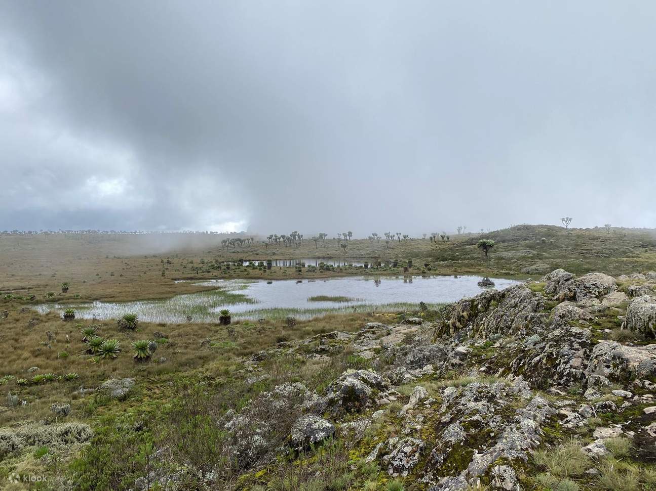 Discover Nature's Magic: One-Day Hike to the Enchanting Seven Ponds of ...