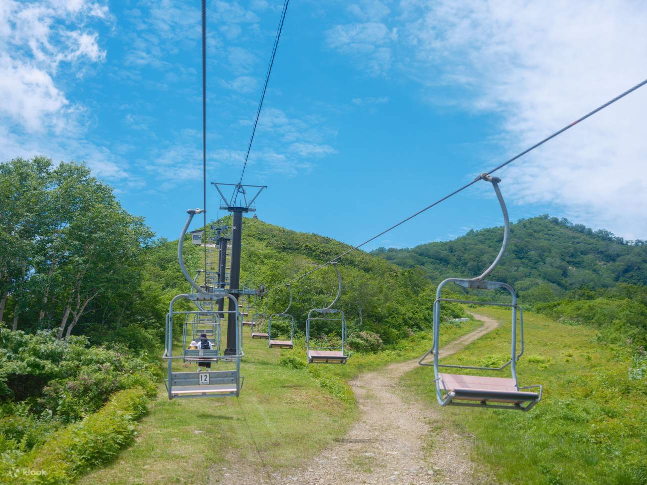 하쿠바 고류 다카야마 식물원 왕복 승차 티켓나가노 클룩 Klook 한국