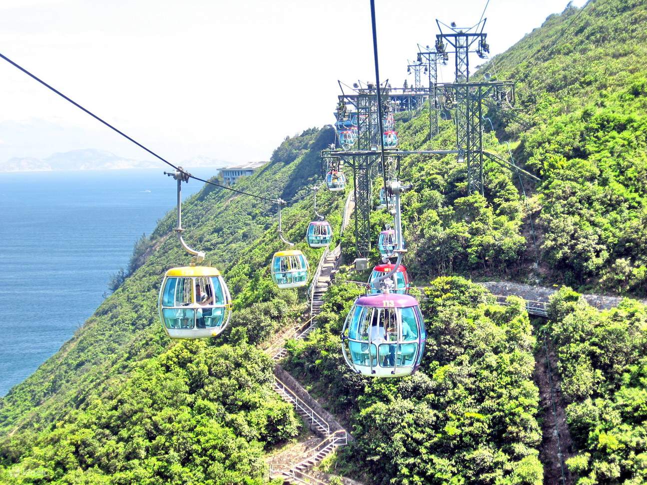 Ocean Park Tour (Group Tour Lane) - Klook United States
