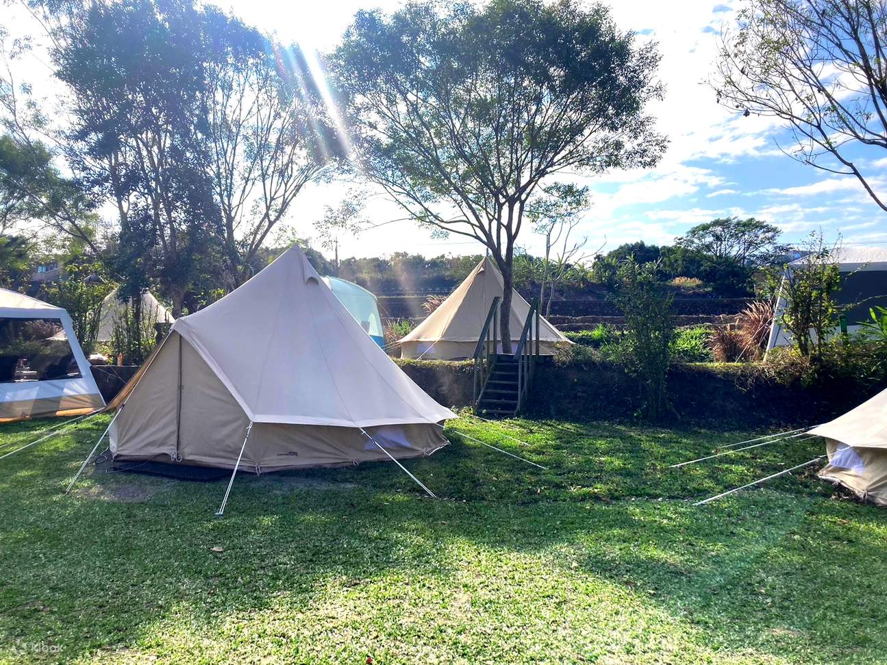 Miaoli | Golden Rice Terraces Campground | Glamping - Klook Australia