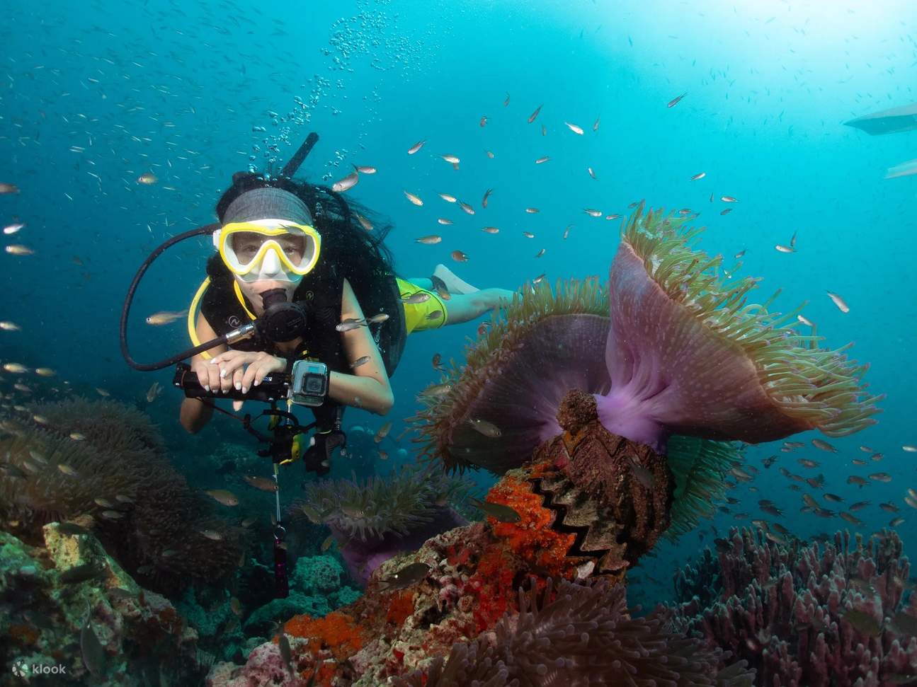 Learn PADI Enriched Air Diver in Koh Tao at PADI 5 Star IDC Resort - Klook