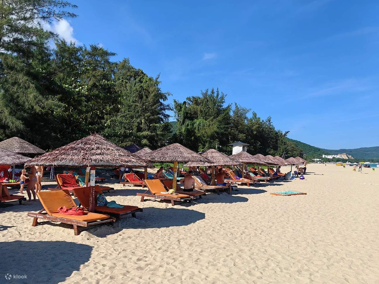 Sanya Yalong Bay Tropical Paradise Forest Park Day Tour (Forest Oxygen ...