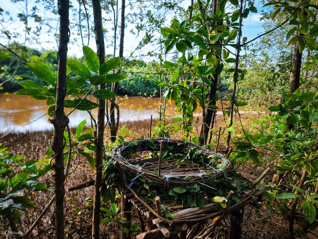 Bongawan Mangrove River Cruise, Fireflies, Sky Mirror Tour - Klook India