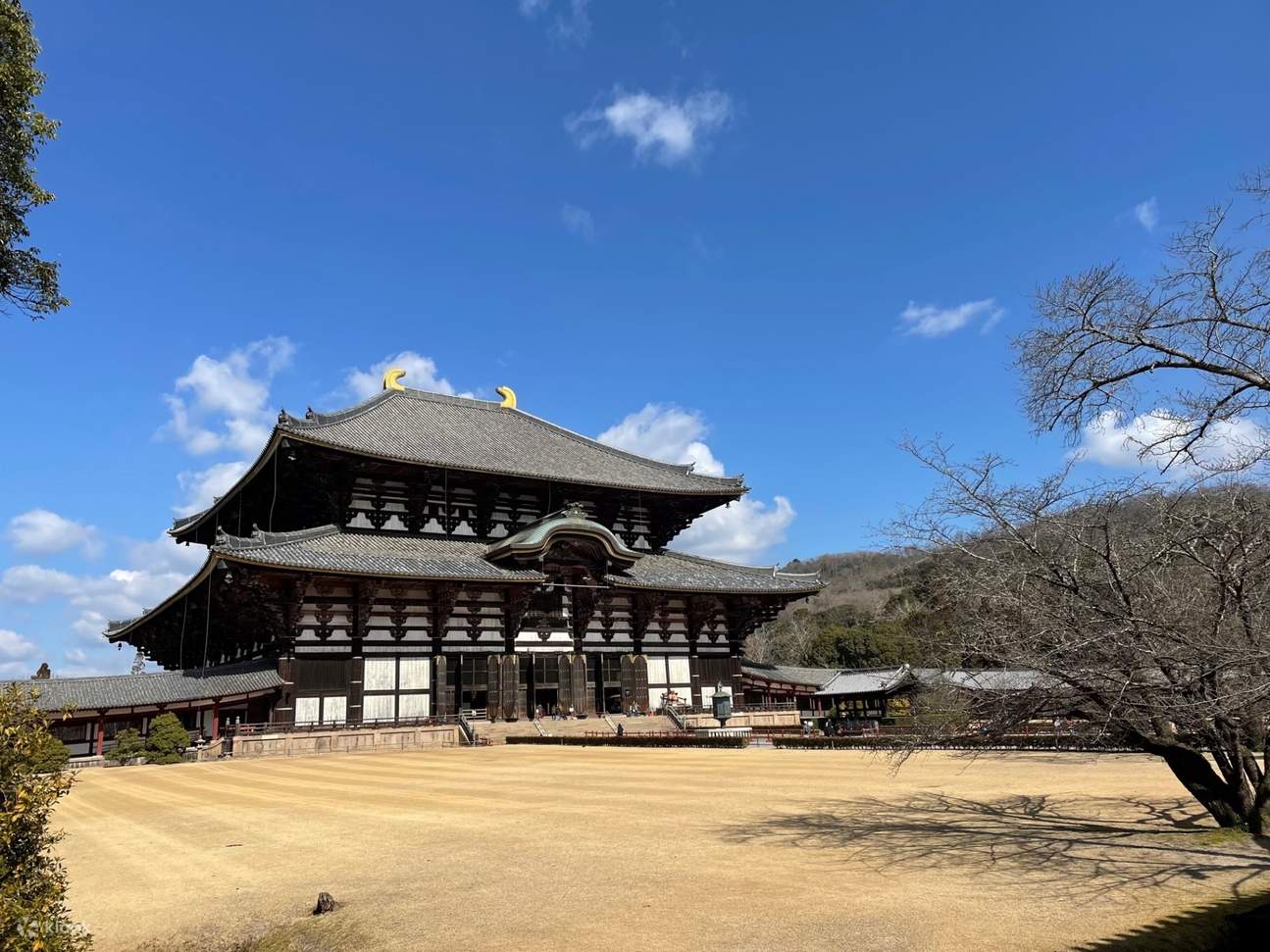 Excursion d'une journée à Kyoto et Nara au départ d'Osaka/Kyoto au Japon - Klook États-Unis