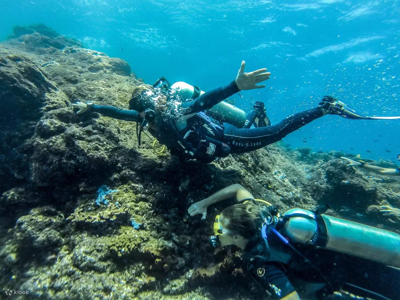 Discover Scuba Diving with PADI 5 Star Dive Center - Klook Philippines