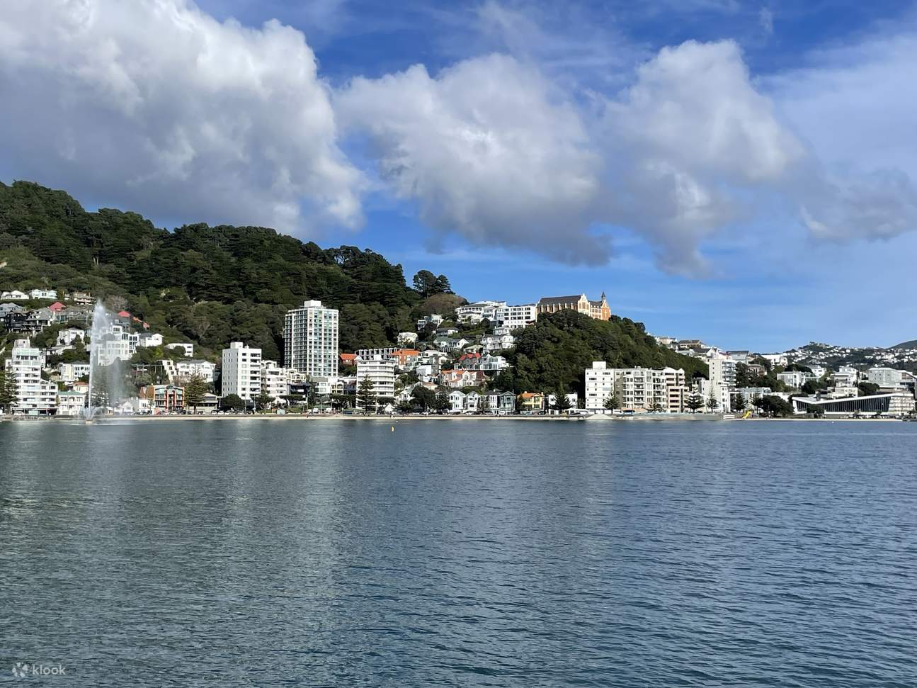 Wellington Harbour Explorer Commentated Tour - Klook Estados Unidos