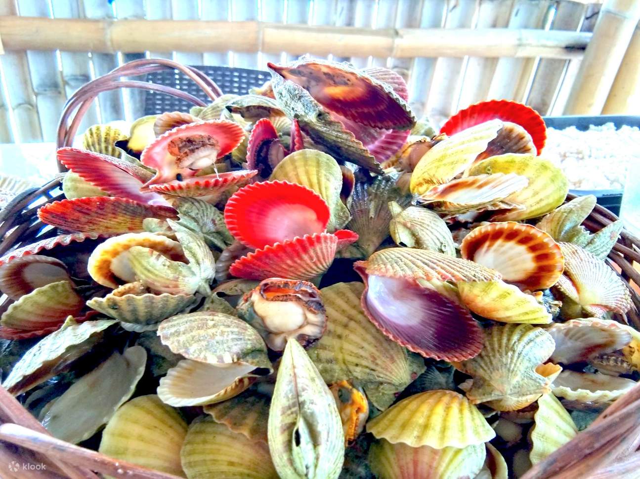 Islas de Gigantes Private Day Tour with Seafood Lunch - Klook