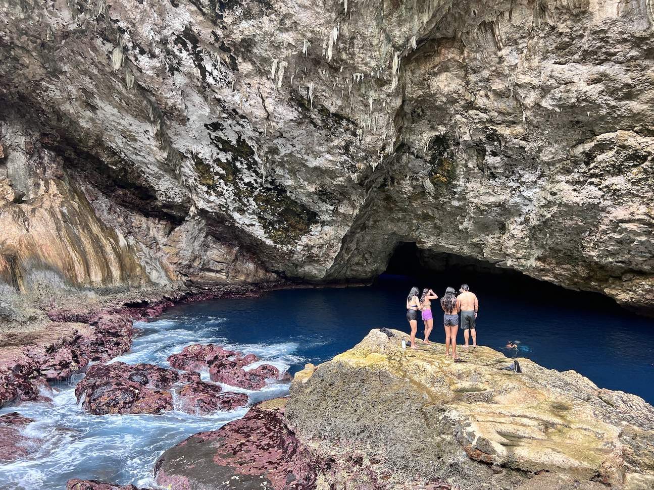 [Klook] Saipan Nothern Tour - 클룩 Klook 한국