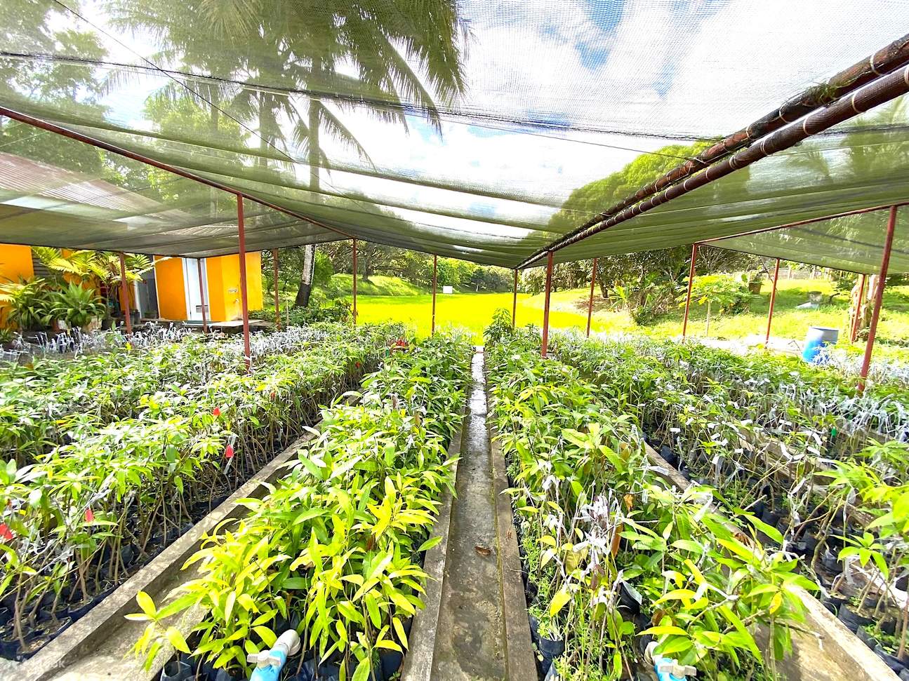 Explore Guimaras on a Private Half-Day Land Tour - Klook Philippines