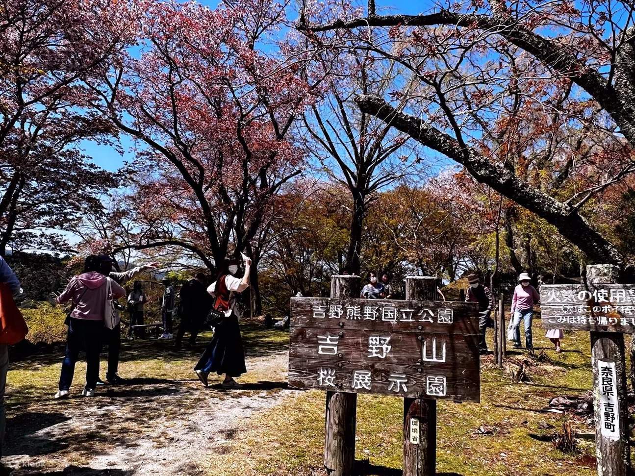 Mt Yoshino Join In Day Bus Tour from Nagoya - Klook Philippines