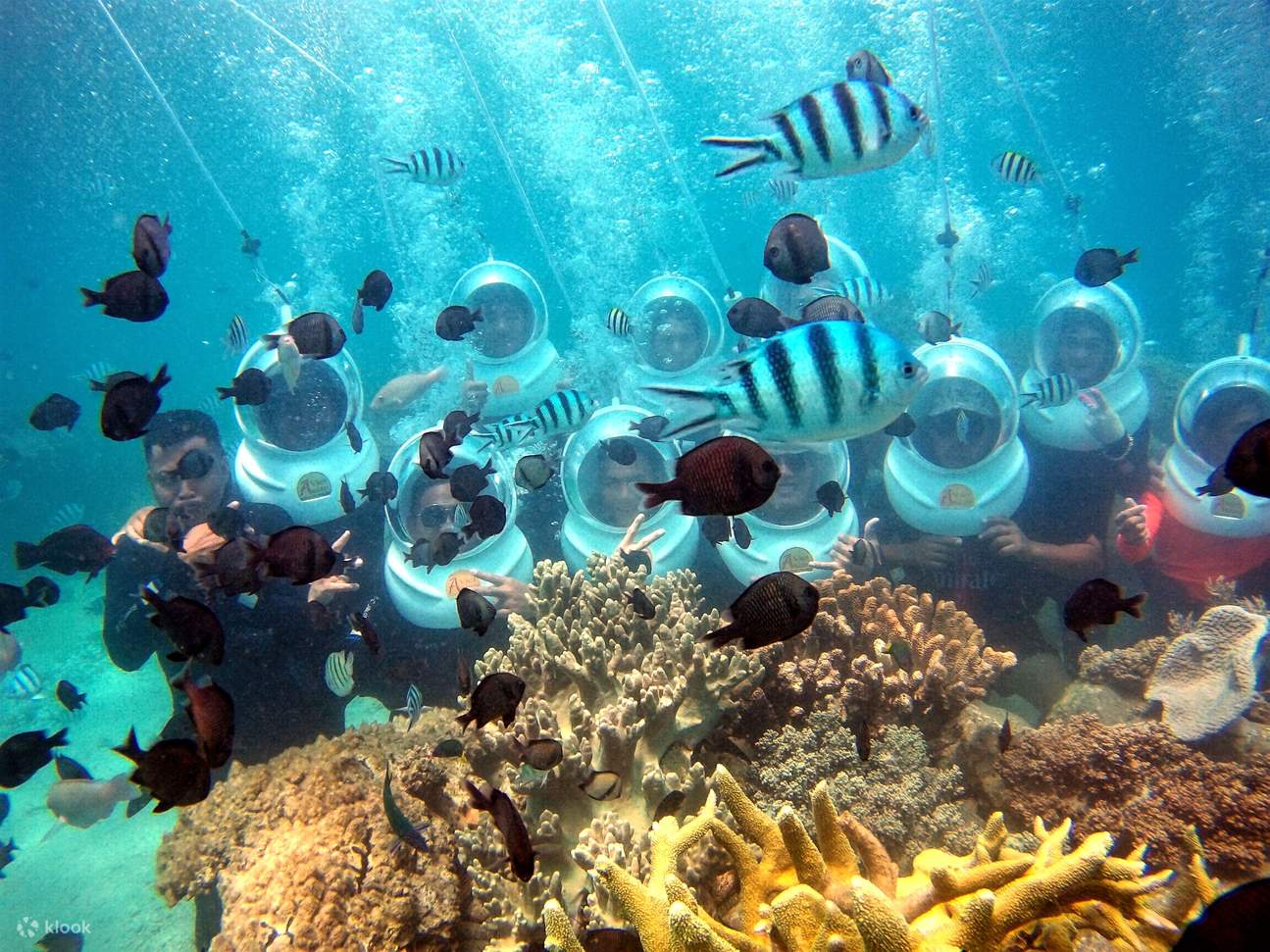Pengalaman Berjalan Laut Phu Quoc Selatan (Pulau Roi) - Klook Indonesia