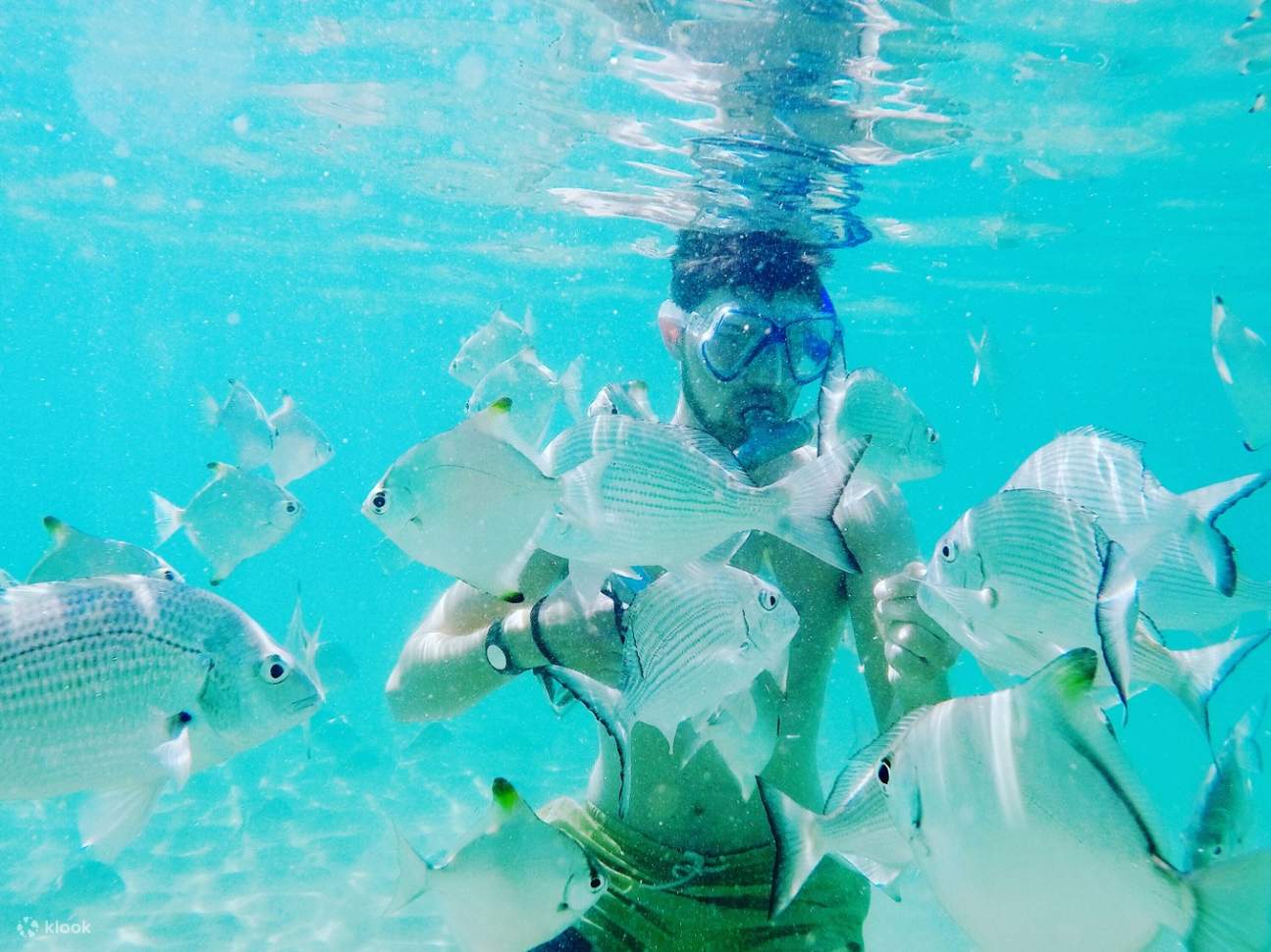 Wavebreak Island and Stradbroke Island Half-Day Tour - Klook Australia