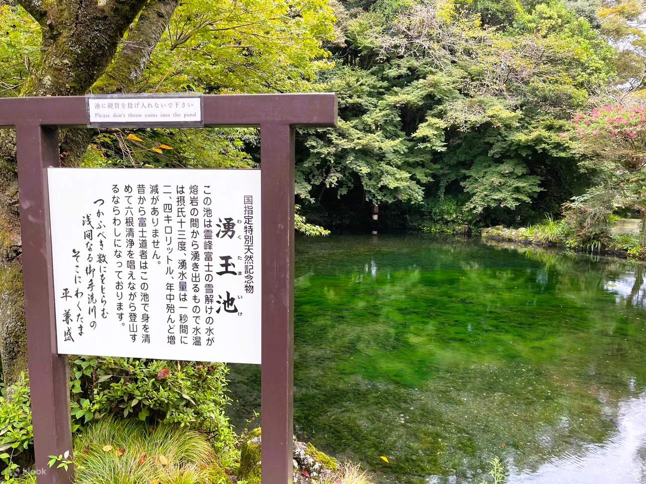 Feel Mt.Fuji and Sake tasting 1D Private Tour from Shin-Fuji Station ...