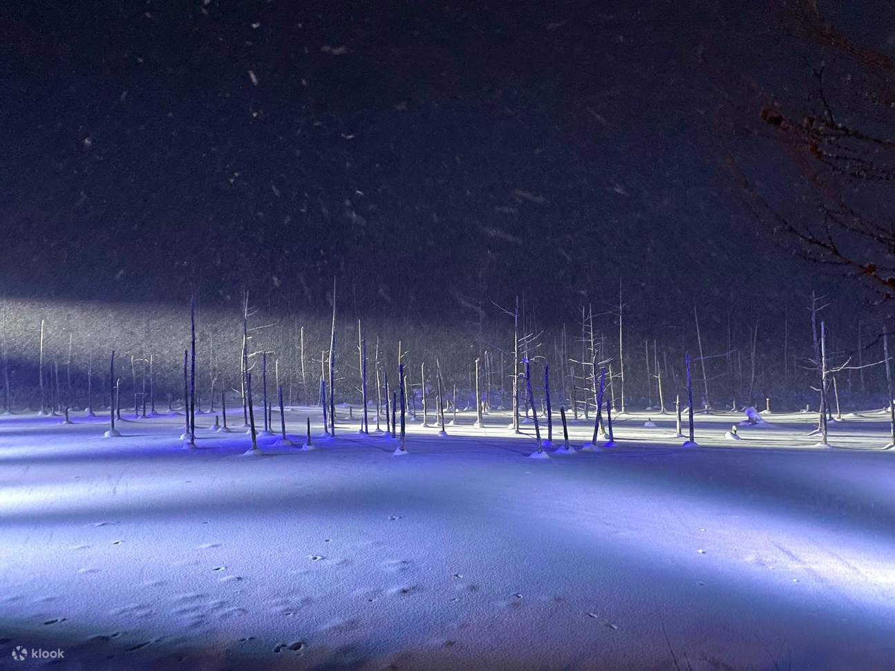 Hokkaido | Biei Winter Blue Pond & Shirasuga Falls Illumination Day ...