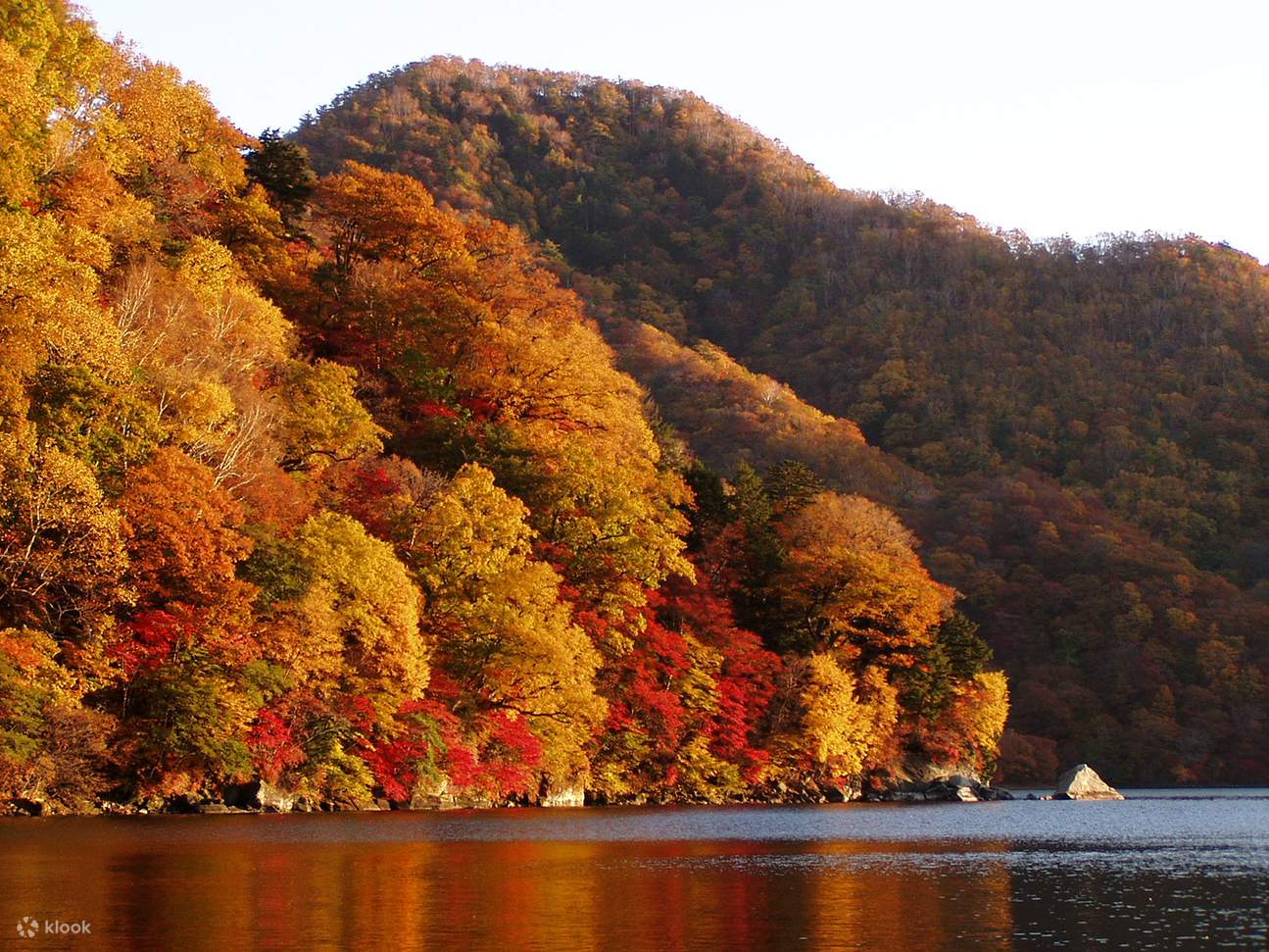 1-Day Autumn Leaves Tour from Tokyo Nikko Toshogu & Lake Chuzenji ...