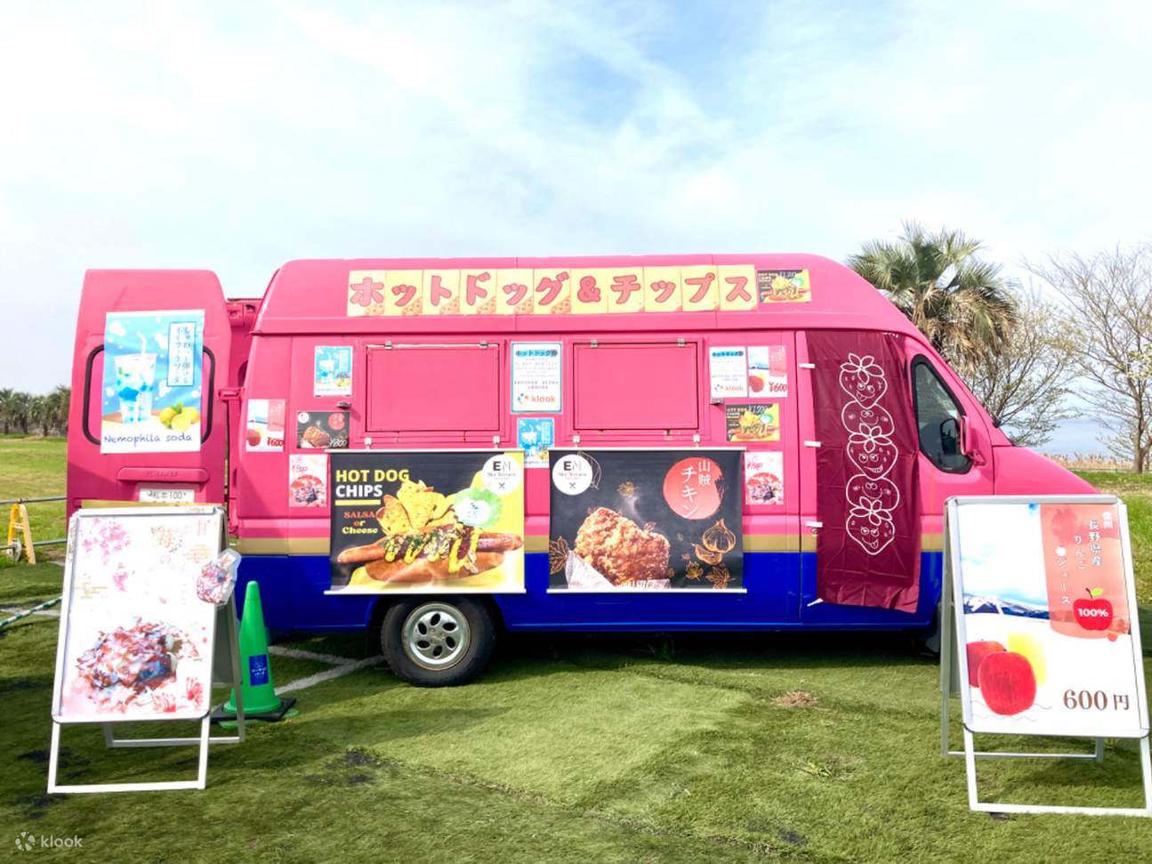 Osaka Maishima Seaside Park “Nemophila Festival” Ticket - Klook