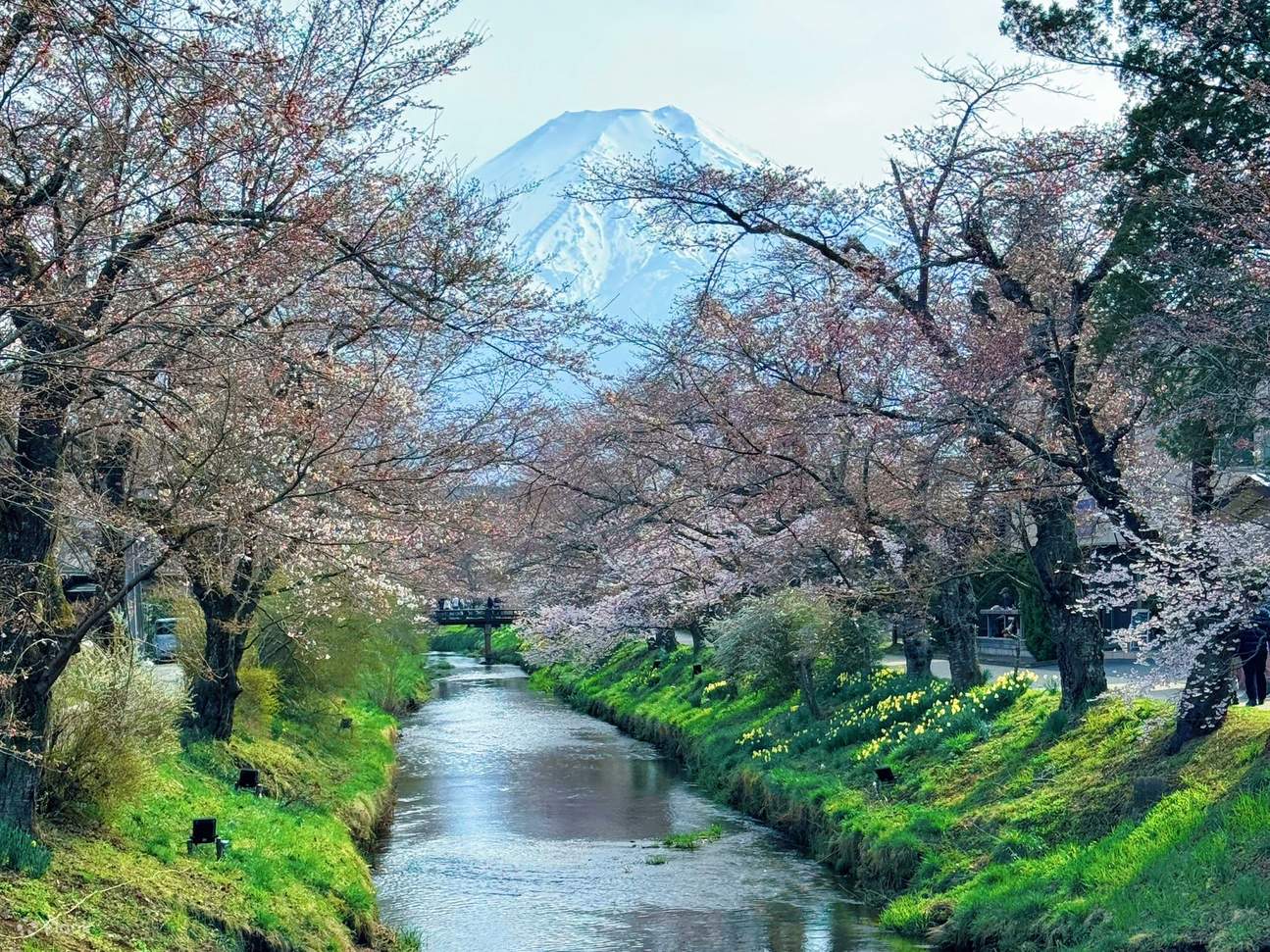 Mount Fuji Scenic Spot Day Tour｜Mount Fuji 5th Station or Sengen Park ...