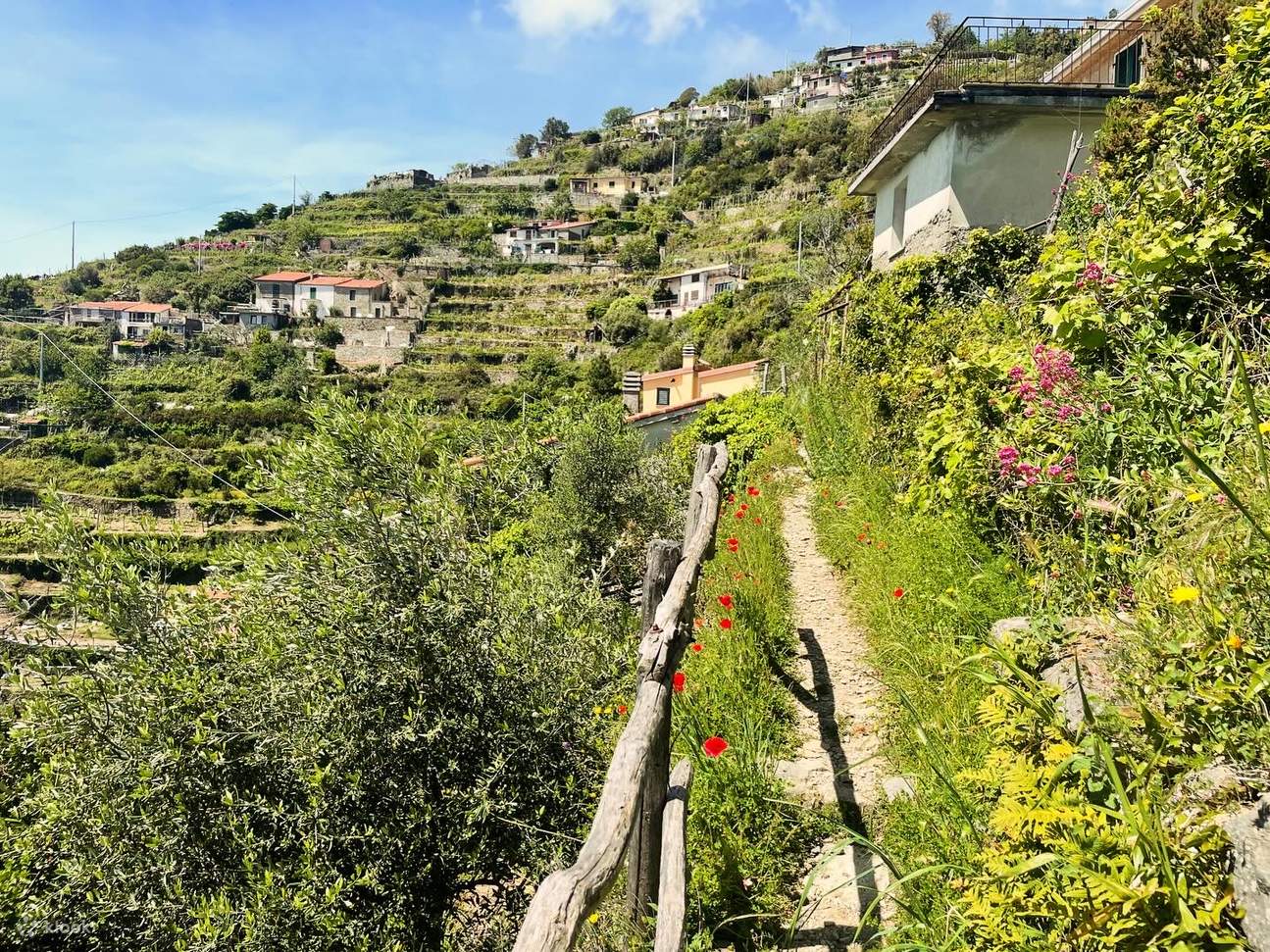 Hiking through the Geosites, terraces, and history of the 5 Terre ...