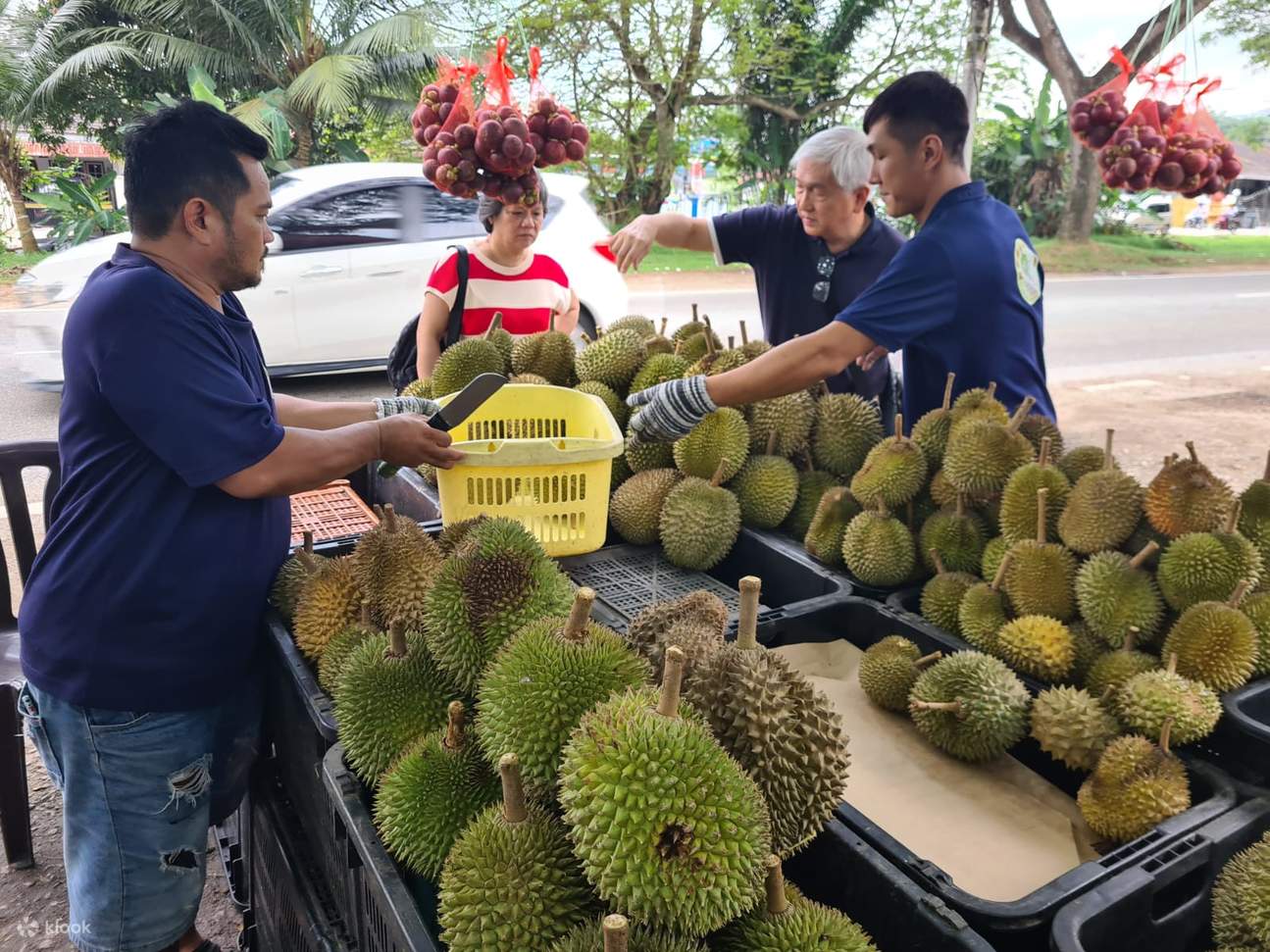 Johor Bahru Durian Day Tour from Singapore - Klook