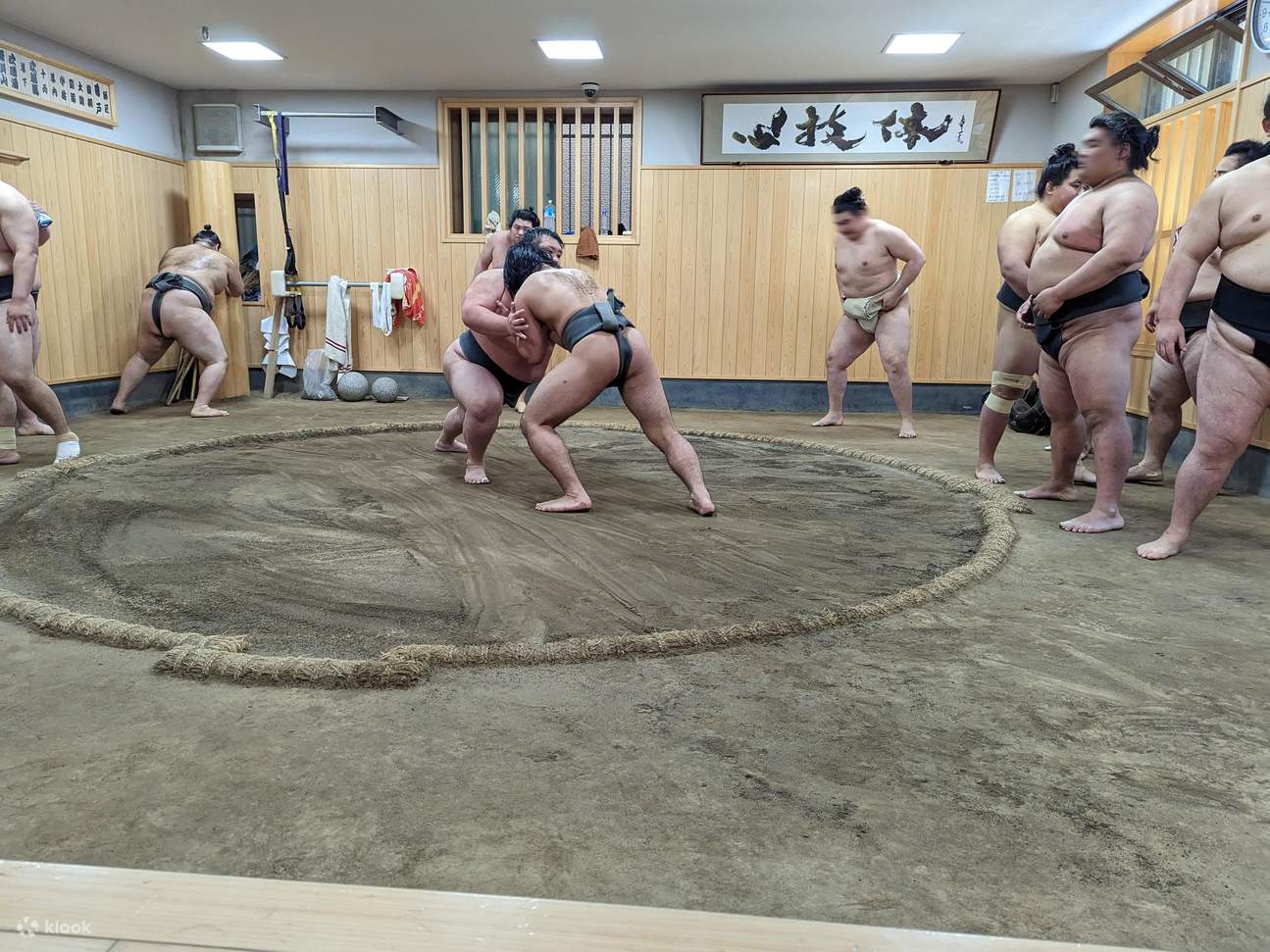 Sumo Practice Watching in Tokyo - Klook