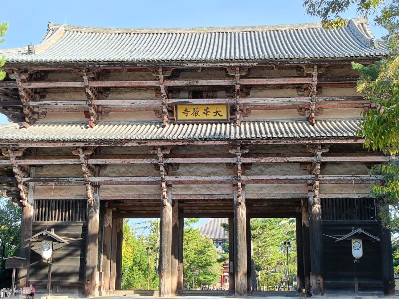 [One-day tour of Kyoto, Nara, and Uji] Nara Park's cute deer, Fushimi Inari Taisha Shrine's ...