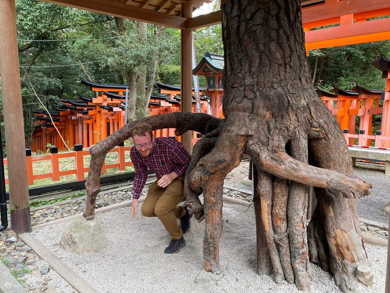 Fushimi Inari Shrine Walking Tour - Klook Fushimi Inari Shrine Walking Tour - Klook