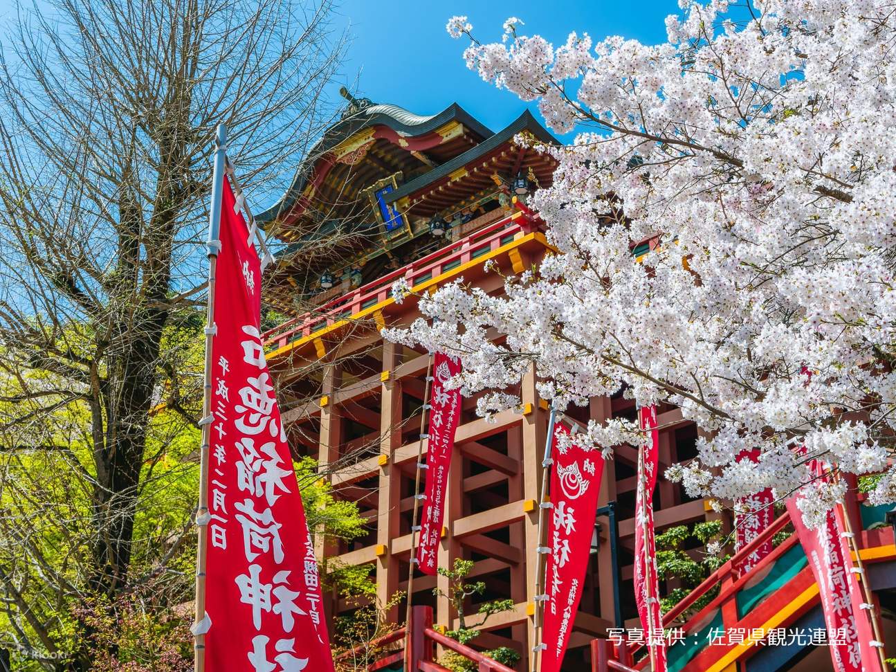Saga: Yutoku Inari Shrine & Kojo Park & Tosu Outlets 1-day tour ...