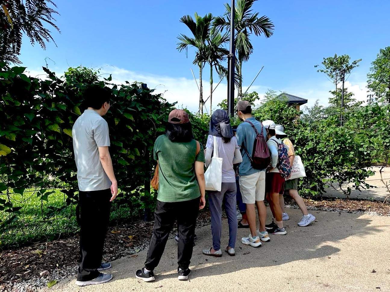 Past, Present & Future: A Heritage Walk in Chinese Garden - Klook États ...