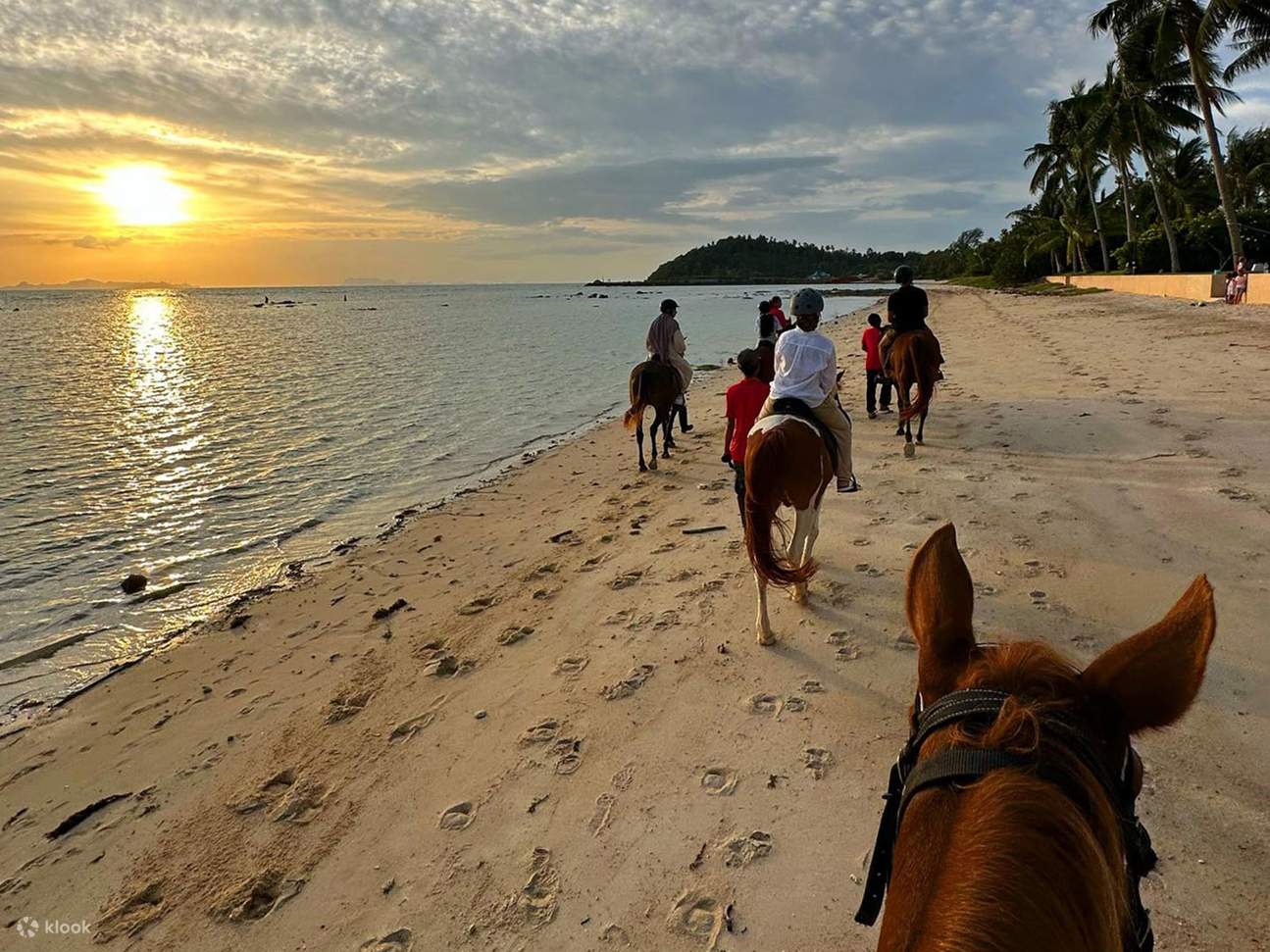 Koh Samui: Menunggang Kuda di Pantai Saat Matahari Terbenam - Klook ...