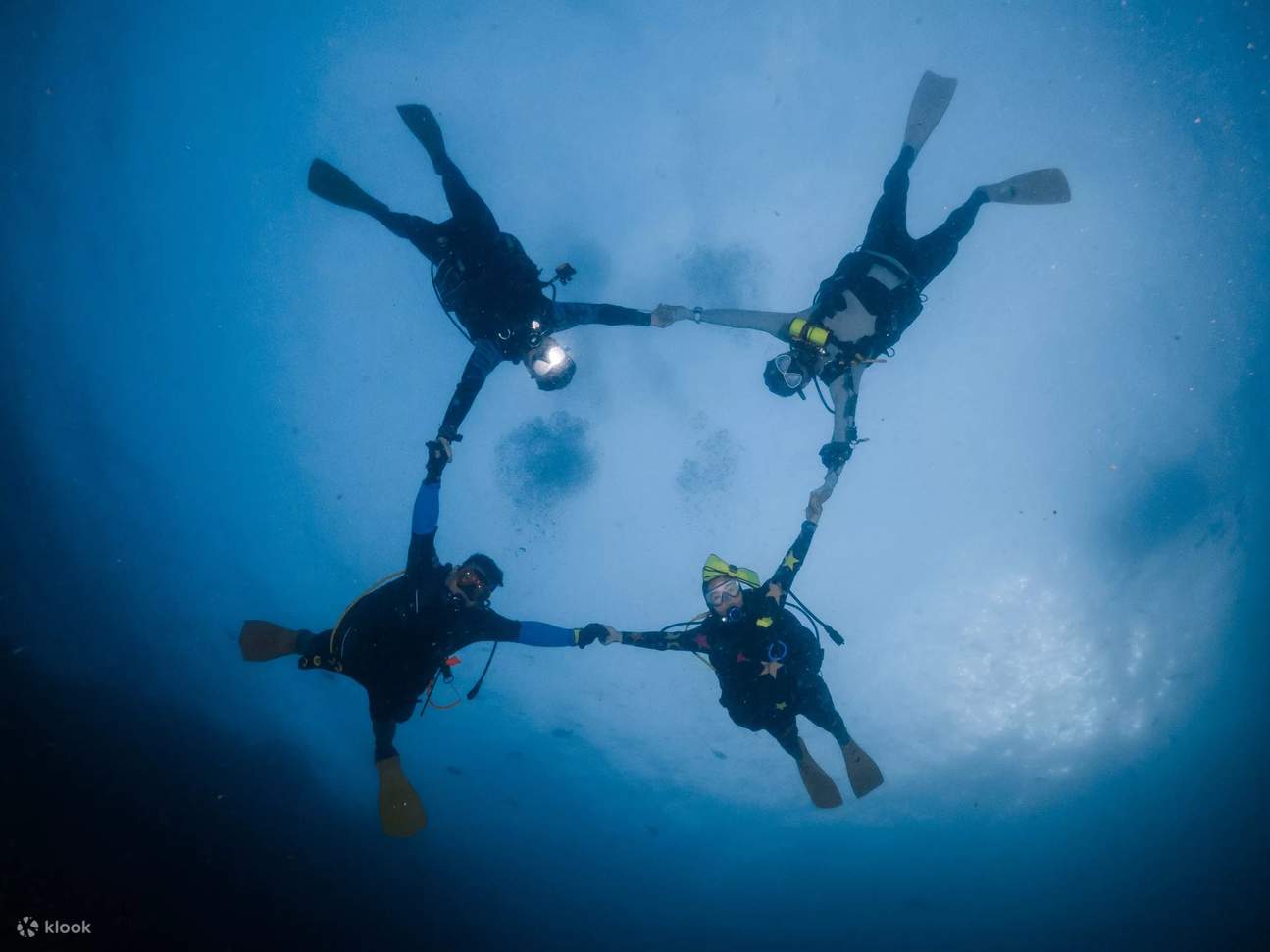 Experience an Exciting Full-Day Fun Dive in Menjangan with Our PADI ...