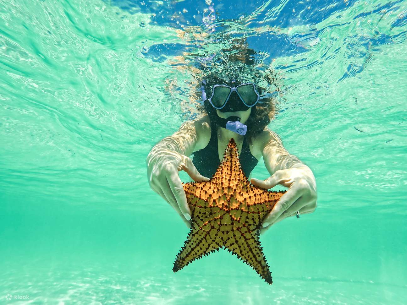 Private Isla Saona Tour – Cruise, Snorkel & Island BBQ - Klook Philippines