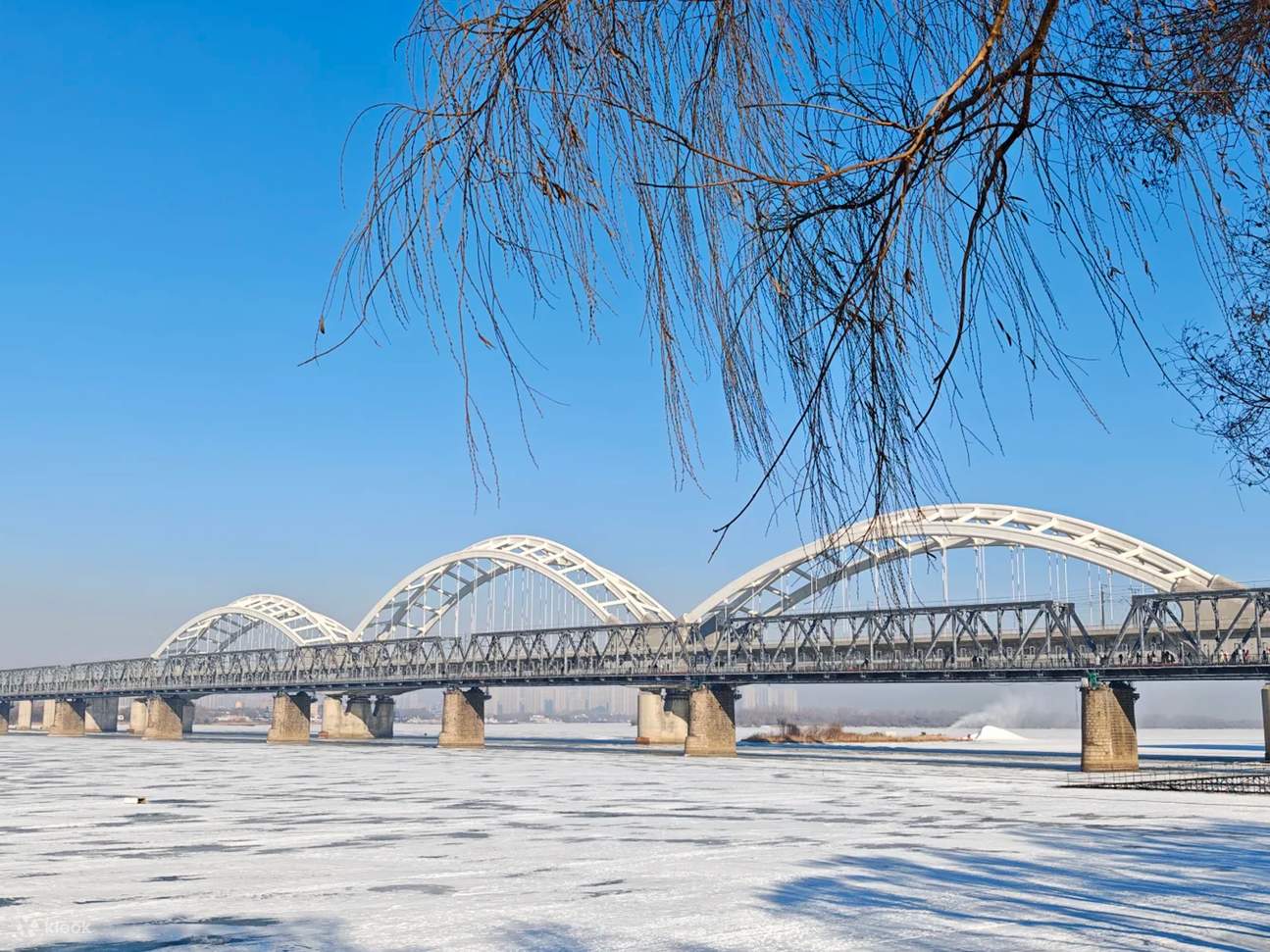3-Day Harbin, Northeast China Tour (Ice and Snow World/Fantasy Ice and ...
