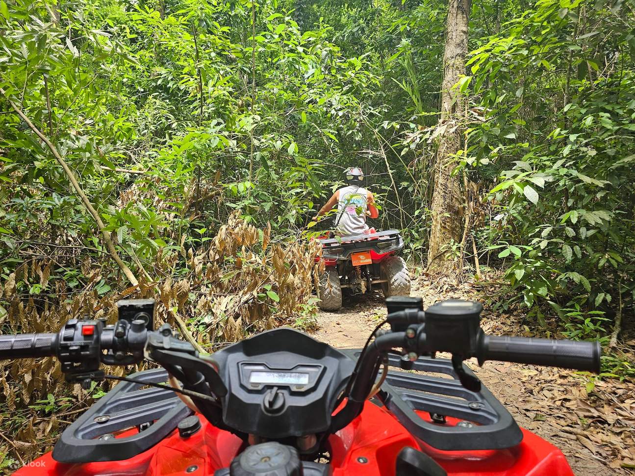 Join In Koh Pha Ngan: Off-road Adventure Atv Quad Bike Jungle Tou ...