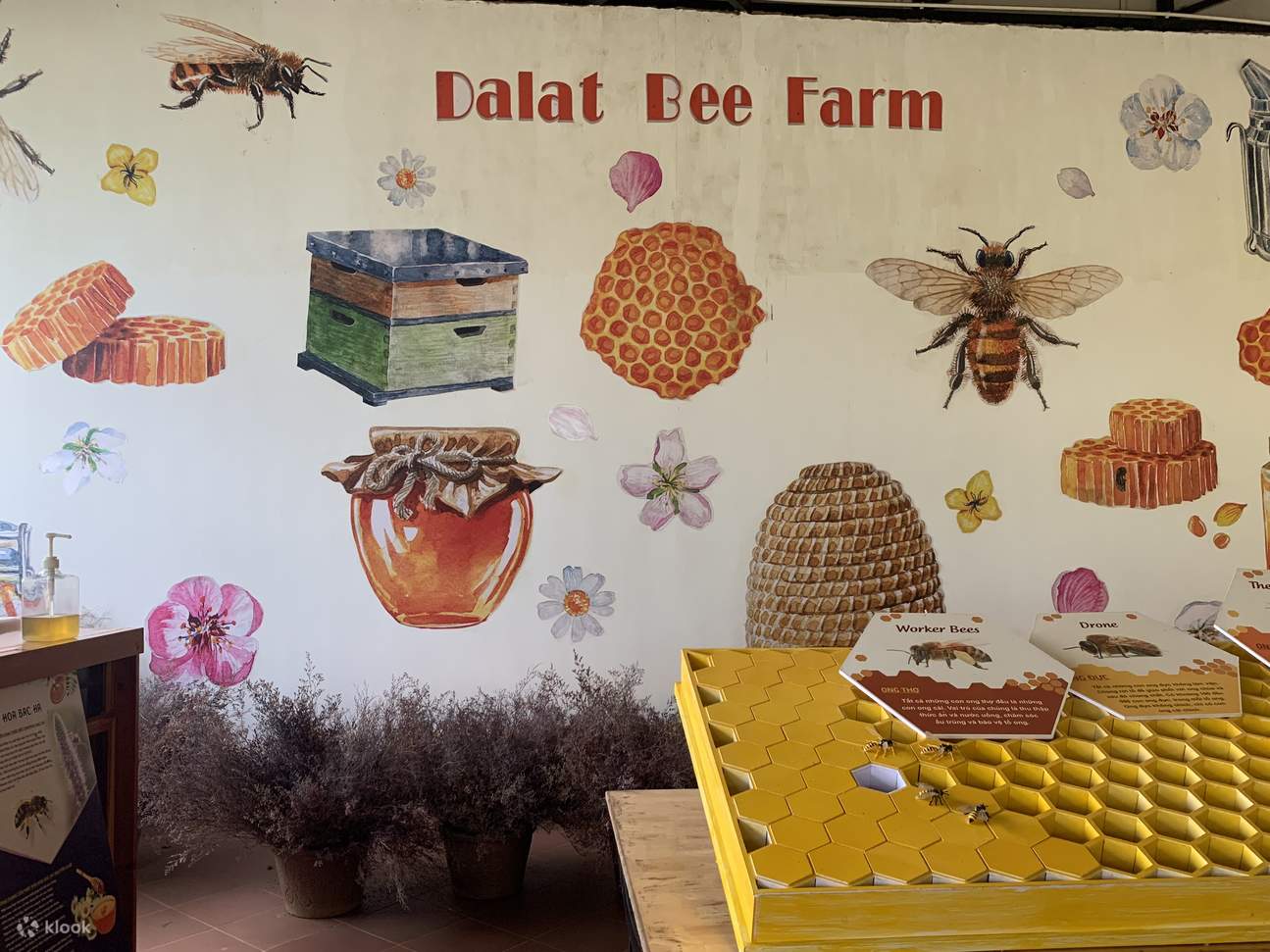 Lawatan Sehari Desa Da Lat di Da Lat, Vietnam - Klook Amerika Syarikat