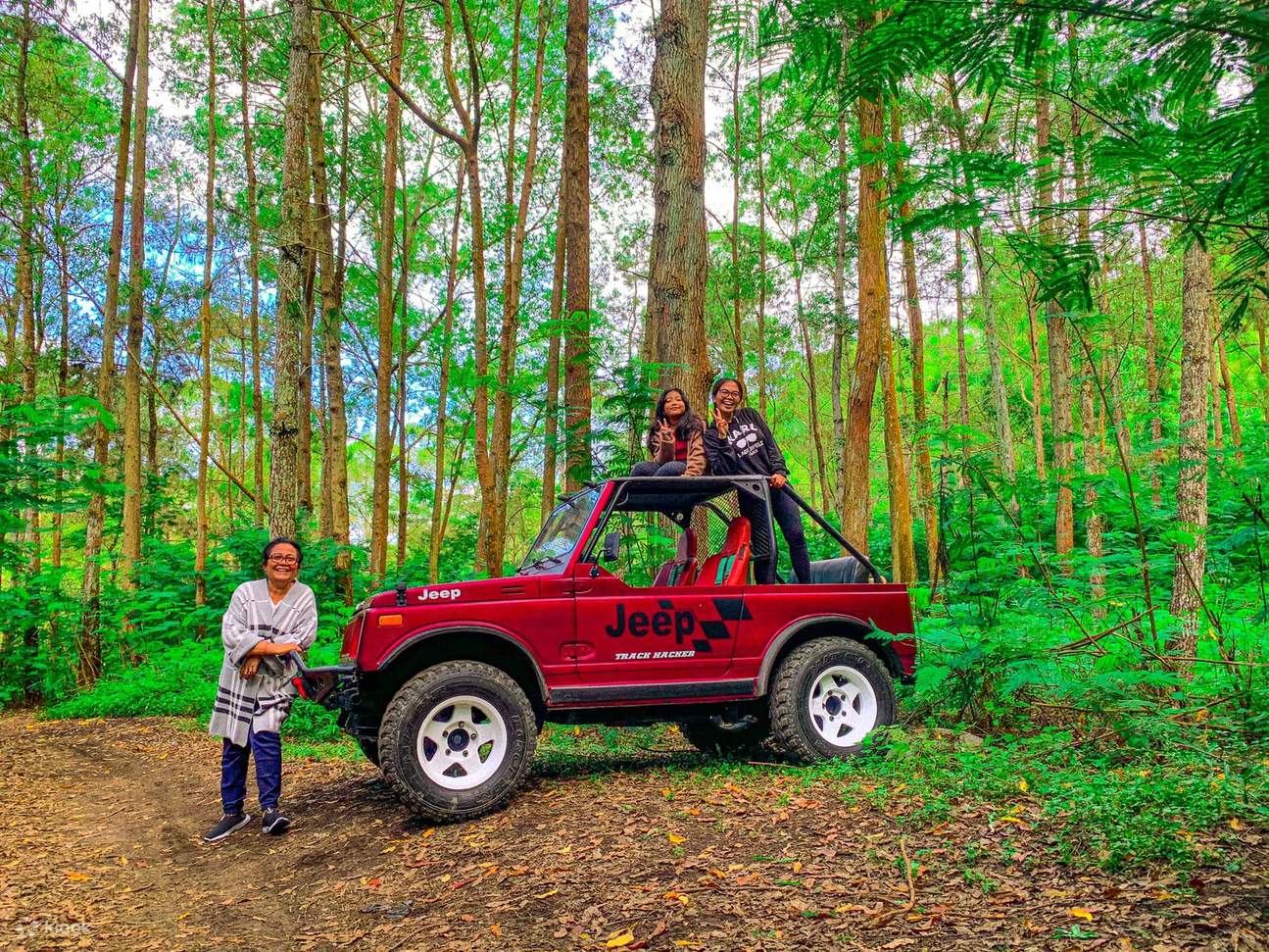 Hutan Pinus (Pine Forest) Kintamani Off Road Jeep Trail Day Tour - Klook Singapore