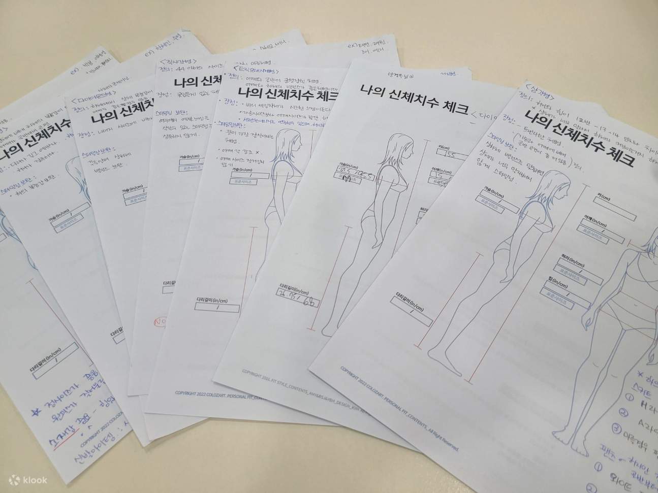 Seoul Head-to-Toe All-Body Consultation : Personal Fit Analysis - Klook ...