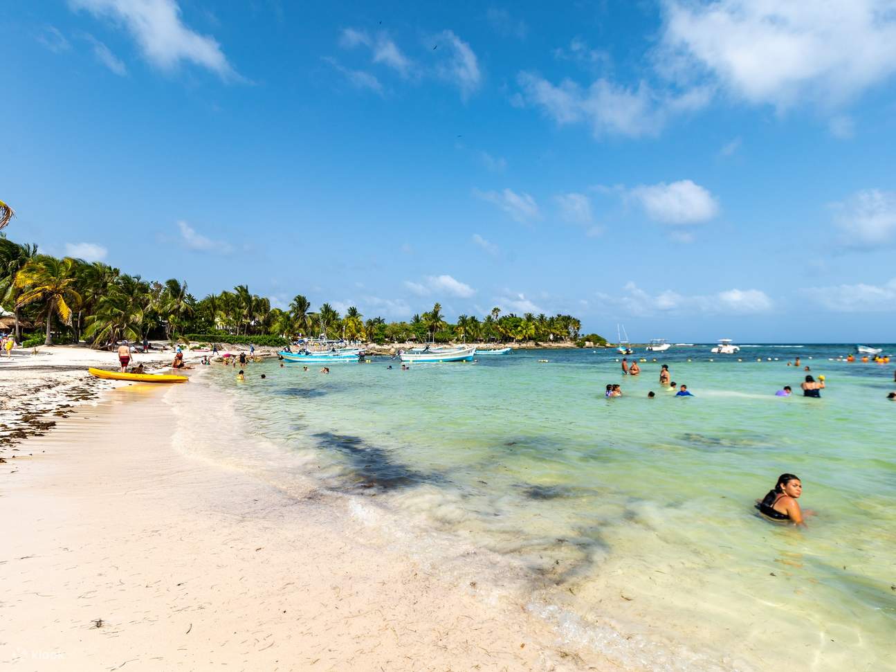 Full Day Tulum Ruins Tour Cenote and Swimming with Sea Turtles - Klook