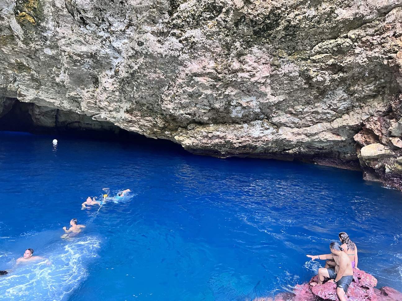 [Klook] Saipan Nothern Tour - 클룩 Klook 한국