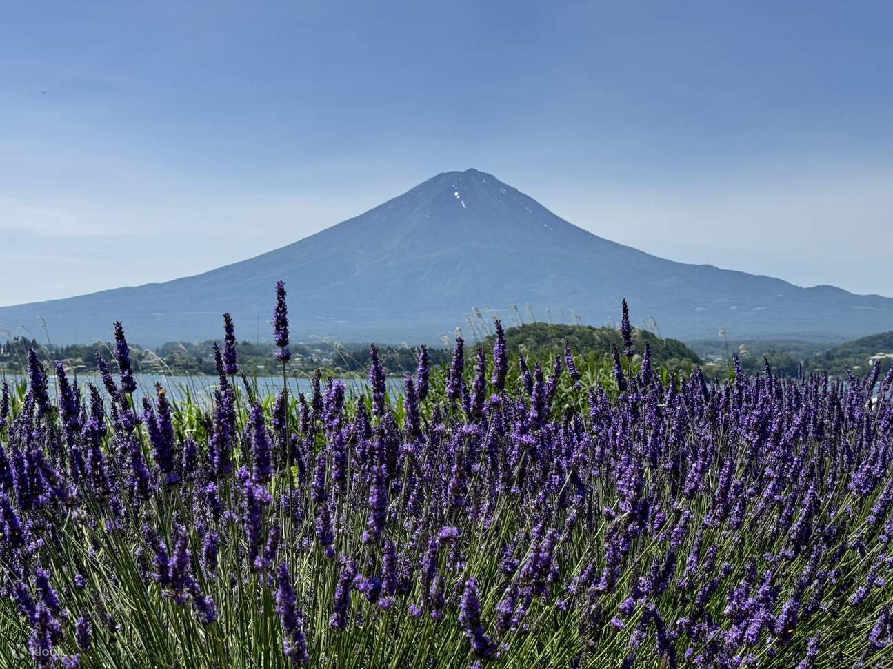 Mount Fuji Hakone Day Tour｜Hotel pick-up and drop-off service｜Online ...