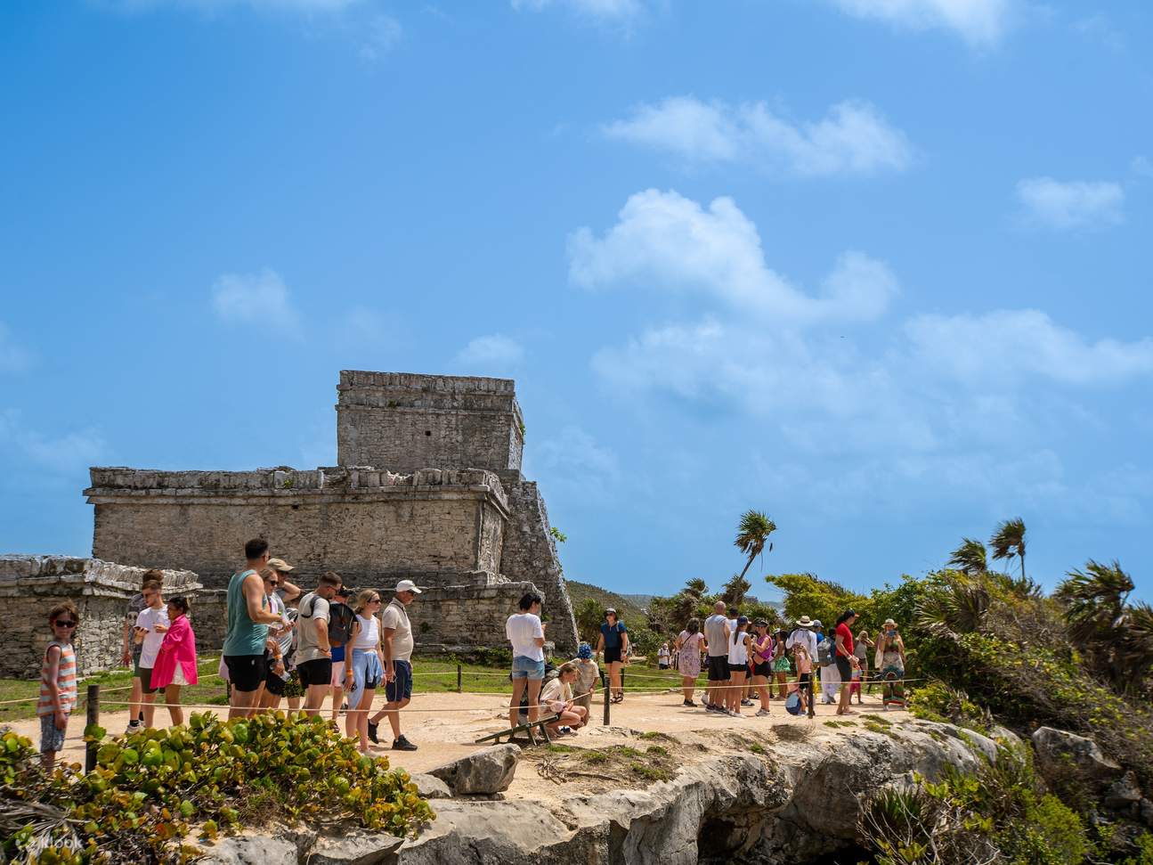 Full Day Tulum Ruins Tour Cenote and Swimming with Sea Turtles - Klook