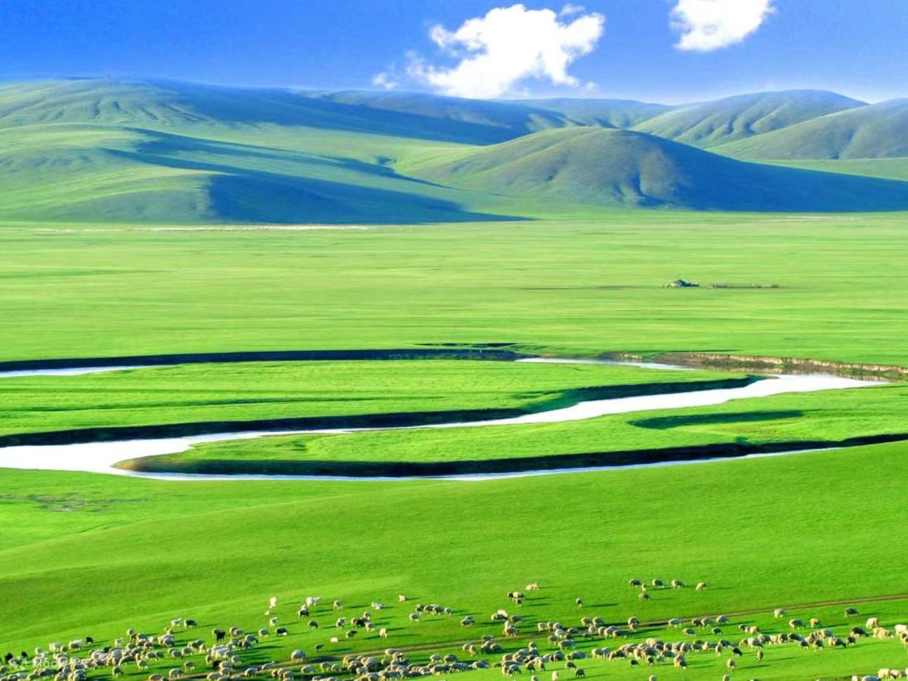 7-Day/6-Night Private Tour of Inner Mongolia's Traverse Grassland ...