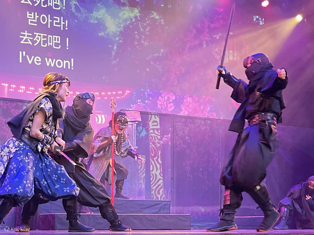 Ninja Show in Osaka - Klook