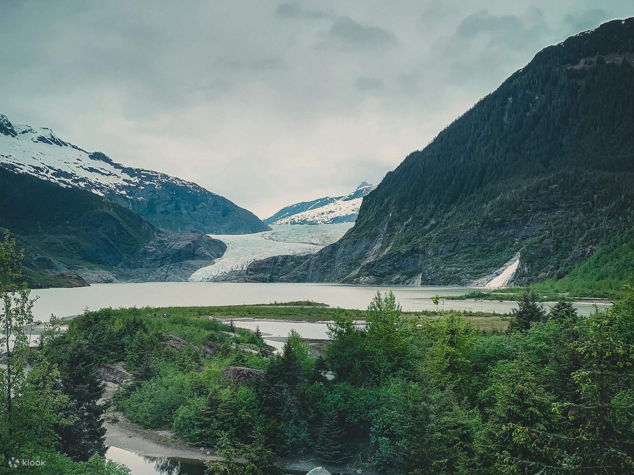 Juneau Glacier Dog Sledding & Helicopter Adventure in Alaska - Klook ...