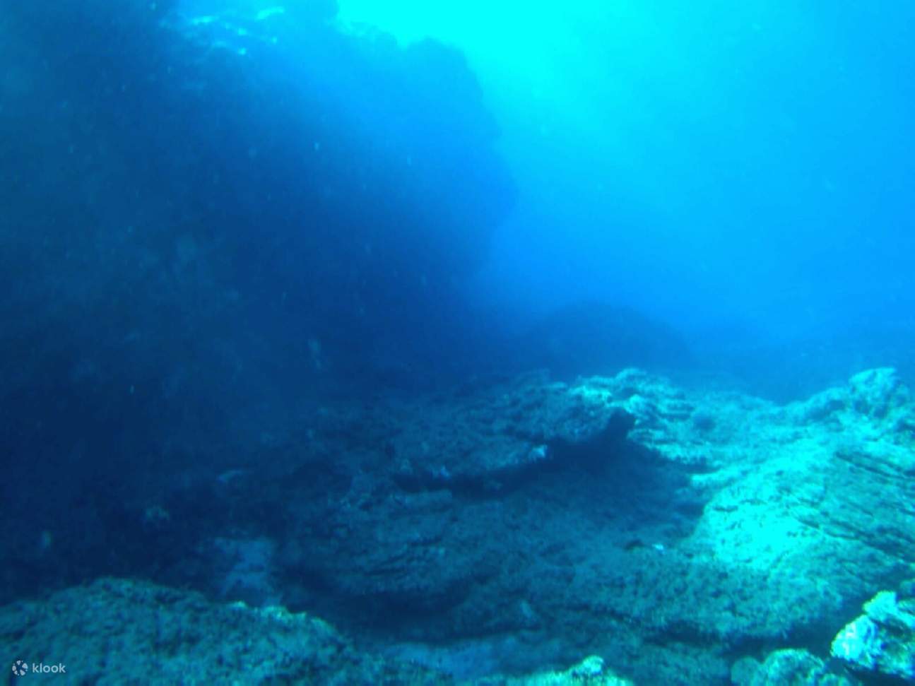 Temui Keindahan Bawah Air Attica dengan Lawatan Menyelam Separuh Hari ...